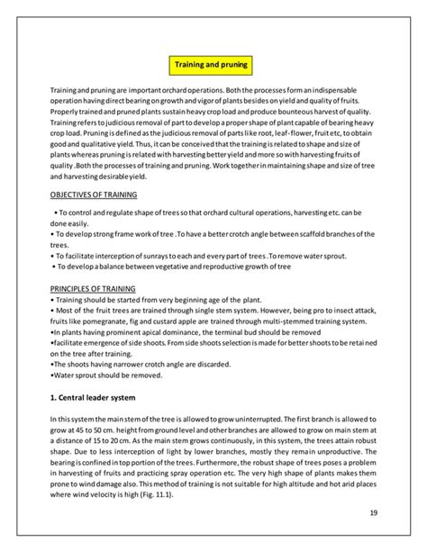 Methods Of Asexual Propagation Docx Woodworking Arts And Crafts