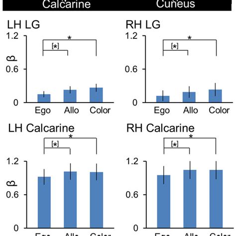Voxelwise Statistical Map Obtained With The Rfx Glm And Activation Download Scientific Diagram