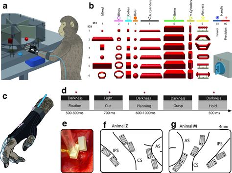 Object Vision To Hand Action In Macaque Parietal Premotor And Motor Cortices Elife