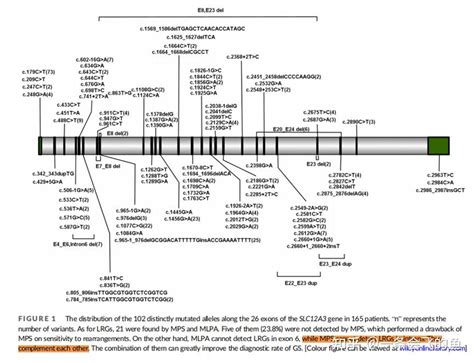 Ngs容易漏诊的变异4 Gitelman 综合征深部内含子、大片段缺失和外显子剪切变异 知乎