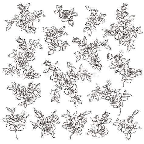 Abstract And Cute Rose Material Collection Stock Vector Illustration