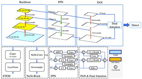 Structure Of Wd Yolo Wd Yolo Adopts A New Backbone And Embeds A Dual Download Scientific