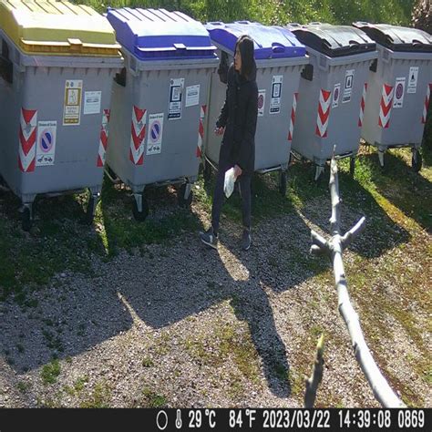 Garbagedetection Object Detection Dataset By Fa Ived