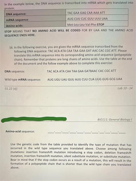 [answered] In The Example Below The Dna Sequence Is Transcribed Into
