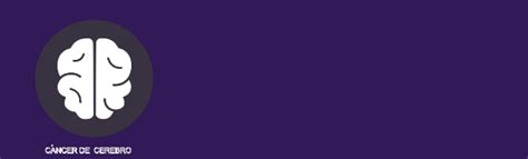 GitHub Qsinap Brain Tumors Segmentation Automatic Segmentation Of Brain Tumors On Structural
