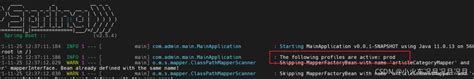 spring boot 打包的时候区分环境 application dev yaml csdn博客