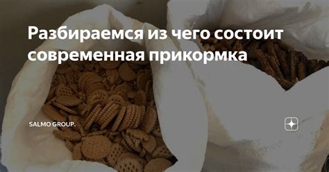 Разбираемся из чего состоит современная прикормка | Salmo Group. | Дзен