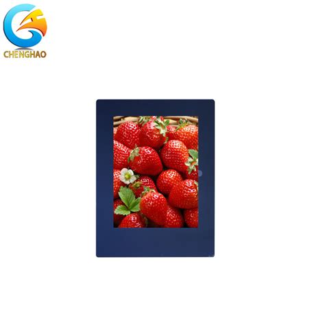 Supplier Medical All Viewing Angle Inch X Pixels Spi TFT LCD Module For Iot Device