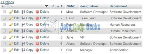 Hibernate Projections Tutorial Java Code Geeks