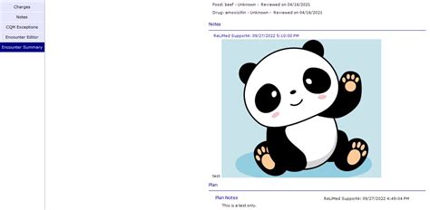 How To Include Pictures In The Encounter Summary ReLi Med Solutions Powered By HappyFox