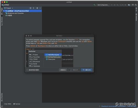 Intellij Idea 2020 For Mac V20201 Java开发工具 安装激活详解 软件sos