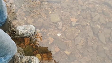 Good Find For Sethlol Youtube