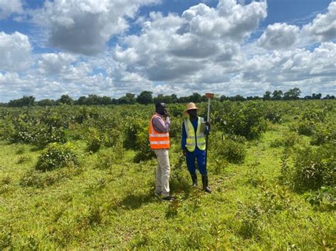 Monitoring Consultancy Services For Three 3 Output Performance Based Road Contracts OPRC