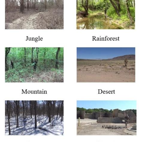 Pdf Research On Camouflage Target Detection Method Based On Improved Yolov5