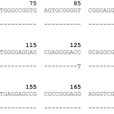 sequence alignment of the partial intron 1 sequence of download