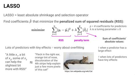 shrinkage regularization youtube