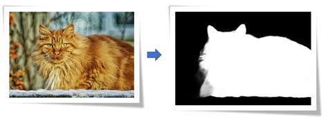 Building 4 Applications Using Real Time Selfie Segmentation In Python Bleed Ai