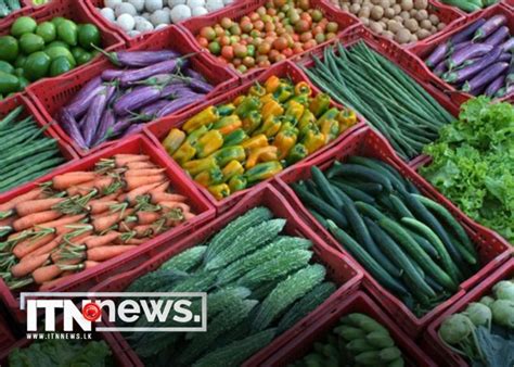 පලතුරු සහ එළවළුවල පසු අස්වනු හානි අවම කිරීමේ වැඩසටහනක් Itn News