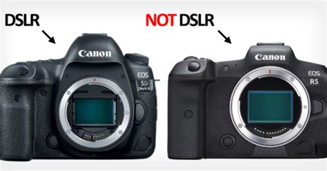 Here S A Free And Easy To Follow DSLR Beginner S Guide PDF PetaPixel
