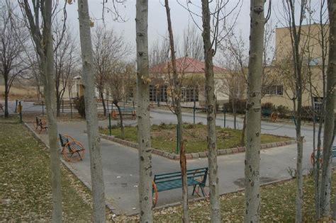 دانشگاه آزاد اسلامی دانشکده دامپزشکی آذربایجان شرقی تبریز