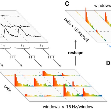 spectral differentiation analysis nd was computed as follows a for