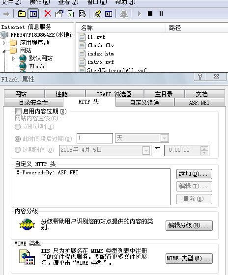 Iis Mime类型设置指南 Csdn博客