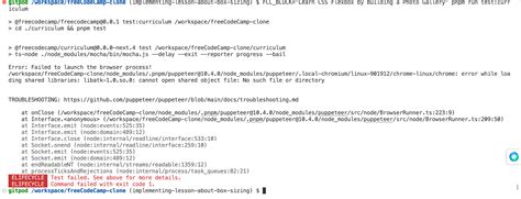 Missing Seed Information Contributors The FreeCodeCamp Forum