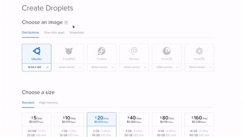 How To Quickly Setup Mongodb On Digitalocean By Johannes Linowski Ninjaconcept Medium