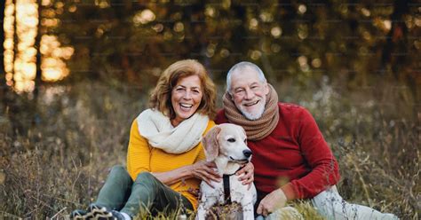 해질녘 가을 자연에서 개와 함께 풀밭에 앉아 있는 행복한 노부부 사진 Unsplash의 스카프 이미지