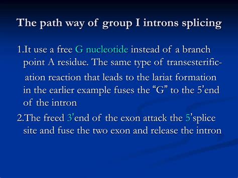PPT CHAPTER 13 PowerPoint Presentation Free Download ID 405268