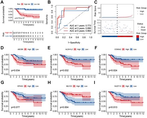 Identification Of Mitochondrial Related Signature And Molecular Subtype For The Prognosis Of