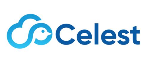 Celest The Vercel Of Flutter Y Combinator