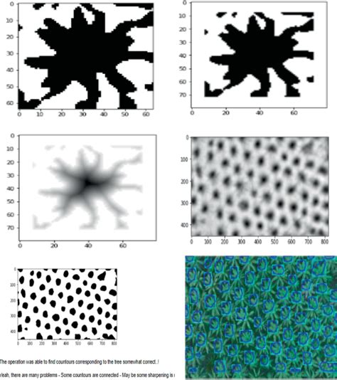 Detection And Counting Of Trees In Aerial Images Using Image Processing