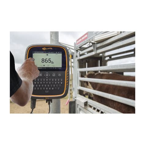 Tw 3 Weigh Scale And Data Collector Farmquip