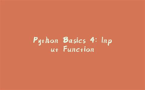 Python Basics 4 Input Function 拾光赋