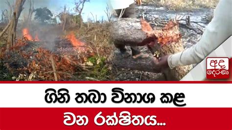 ගිනි තබා විනාශ කළ වන රක්ෂිතය Youtube