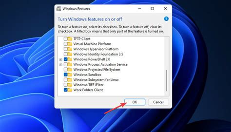 Windows 11 Sandbox Has No Internet How To Easily Fix It