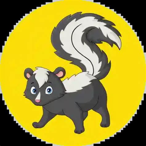 Are Skunks Dangerous Risks To Humans Dogs And Cats Explained