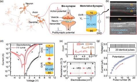 The Device Structure And Electrical Characteristics Of The Memristor Download Scientific