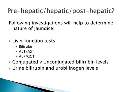 Ppt Jaundice Powerpoint Presentation Free Download Id2969955
