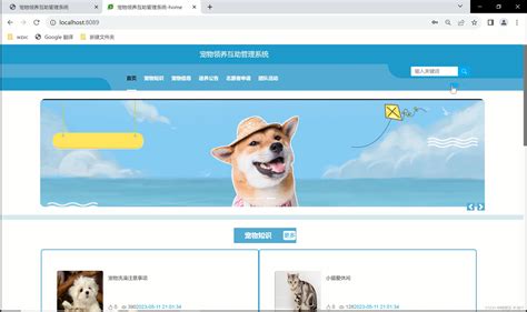 基于ssm jsp宠物领养互助管理系统 csdn博客