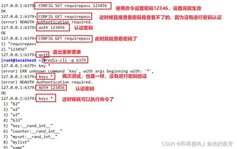 redis详解 csdn博客