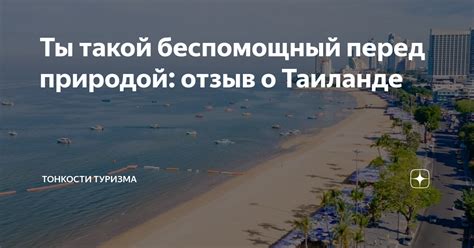 Ты такой беспомощный перед природой: отзыв о Таиланде | Тонкости ...