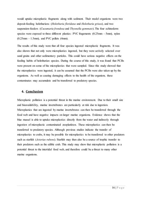 Microplastic Pollution Review Docx