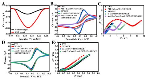 A Dual Recognition Electrochemical Sensor Using Bacteria Imprinted Polymer And Concanavalin A