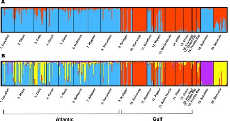 Diagrams Of STRUCTURE Cluster Assignment A K Cluster Assignment Download Scientific