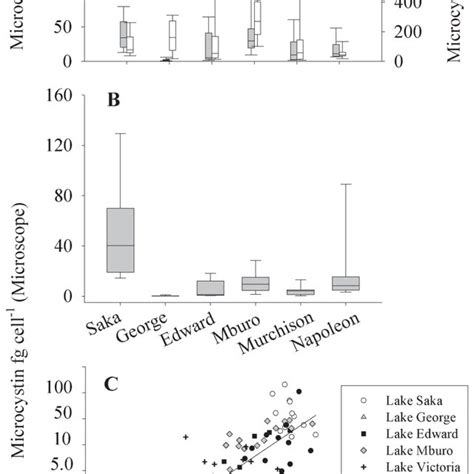 Microcystin Cell Quotas Fg Mc Cell −1 Of A The Pc And The Mcyb Download Scientific Diagram