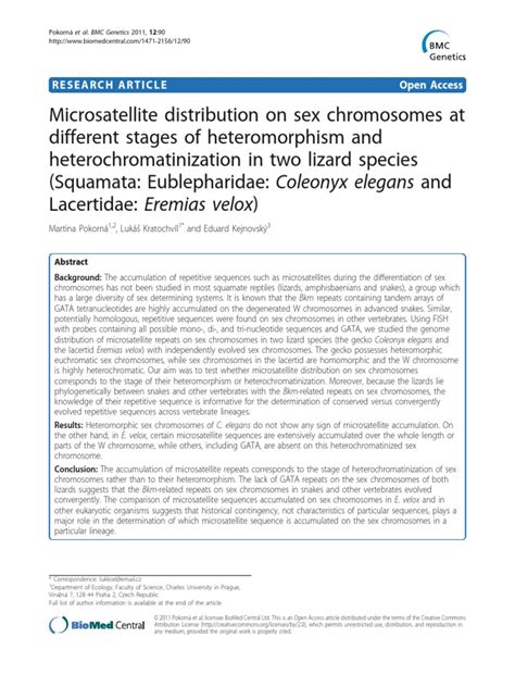 Microsatellite Distribution On Sex Chromosomes At Different Stages Of