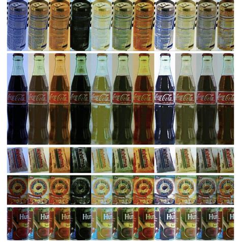 The Generated Seed Images Using Munit [46] The First Column Is Input Download Scientific