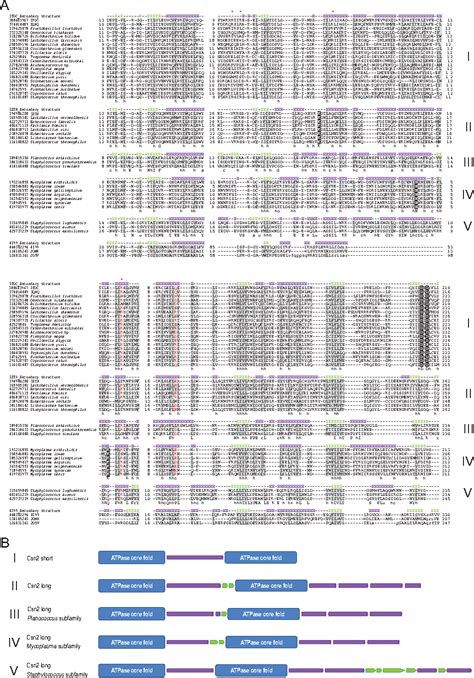 Figure 1 From Classification And Evolution Of Type Ii Crispr Cas